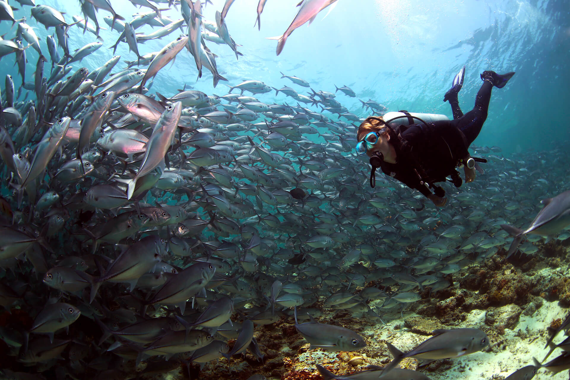 Mabul Island: Borneo Divers Mabul Resort - SabahTravel