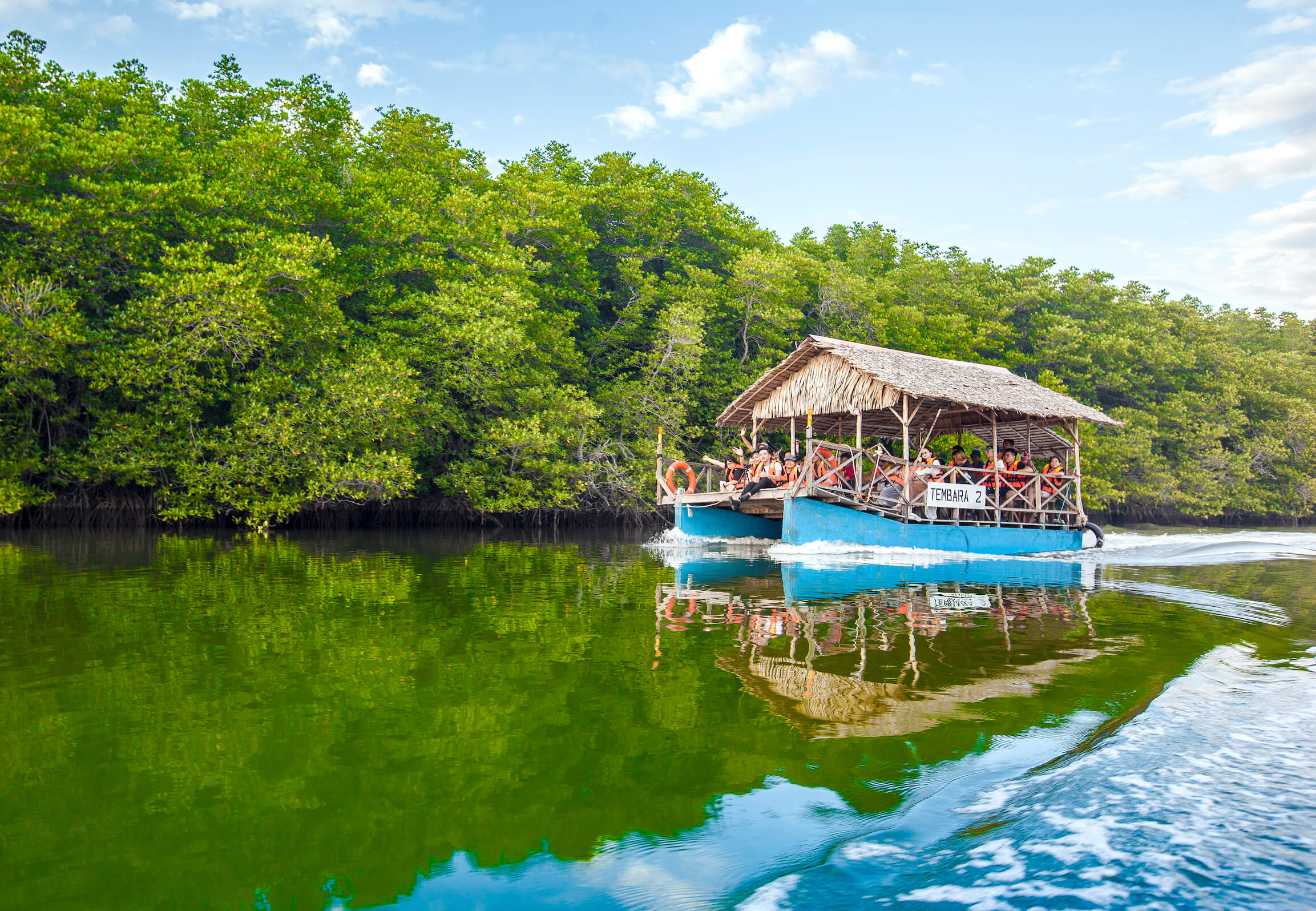 Tembara River Cruise & Fireflies Watching - SabahTravel