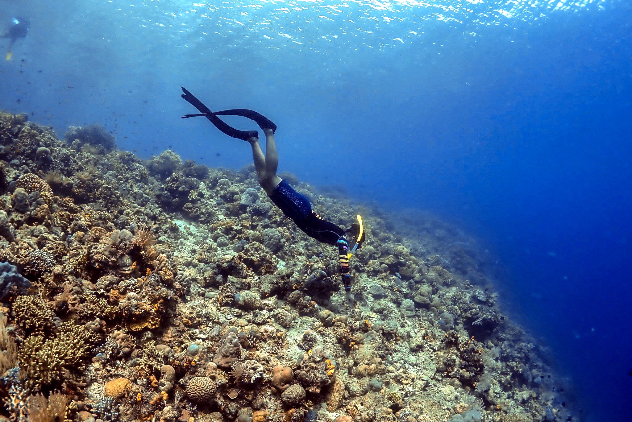 3D2N Mataking & Timba-Timba Diving Tour - SabahTravel