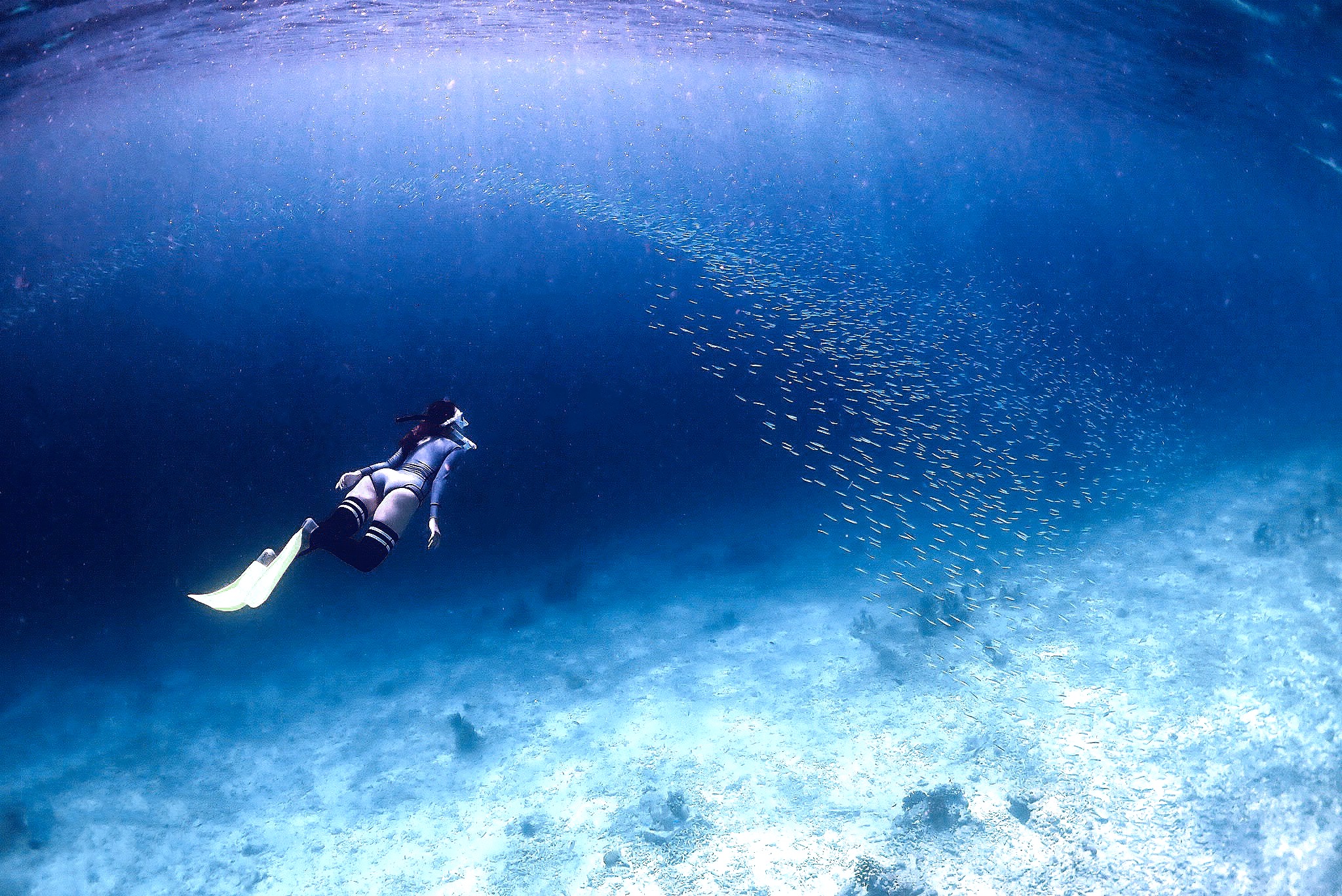 3D2N Mataking & Timba-Timba Diving Tour - SabahTravel