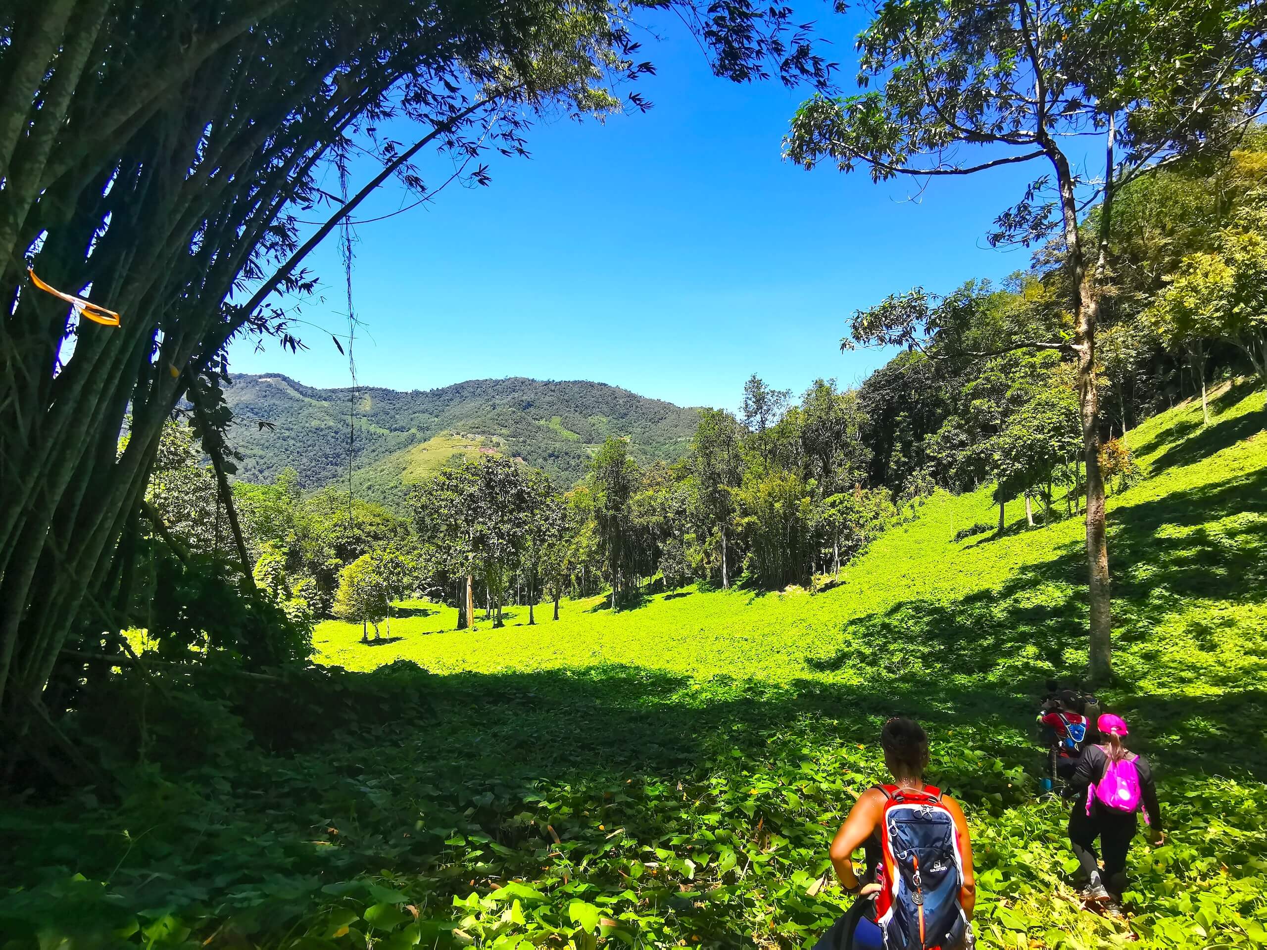 Guas Nabalu Homestay - SabahTravel