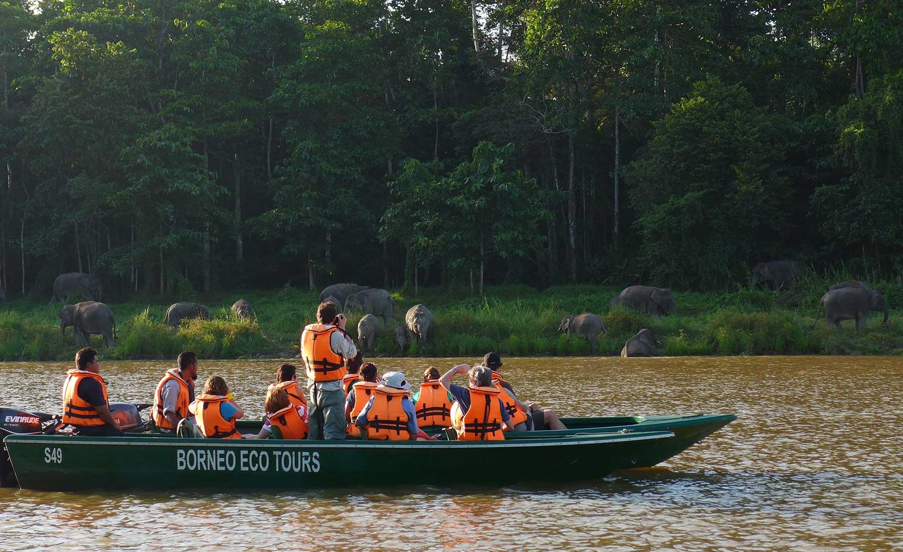 3D2N Sukau Rainforest Lodge - Kinabatangan River Cruises / Sepilok ...