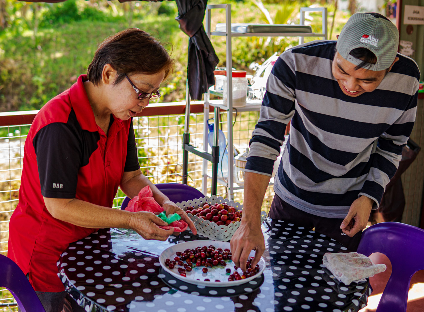 Kopi Apai Ranau (Admission Ticket) - SabahTravel